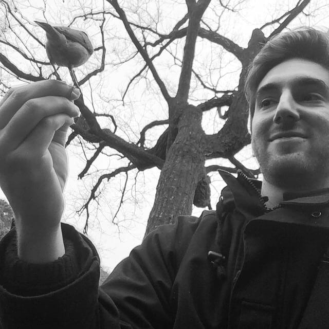 Snapchat Di David Kravitz